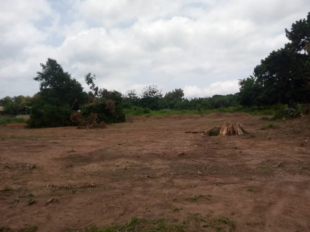 From possession to property: how the commodification of land affects ...